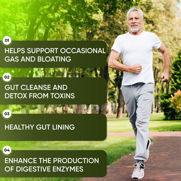 Gut Health for Women and Men & Immune Support w Probiotic, Prebiotic ...